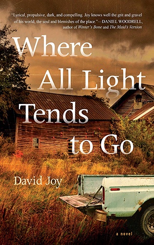 Book Review: Where All Light Tends to Go by David Joy - Romantic Parvenu